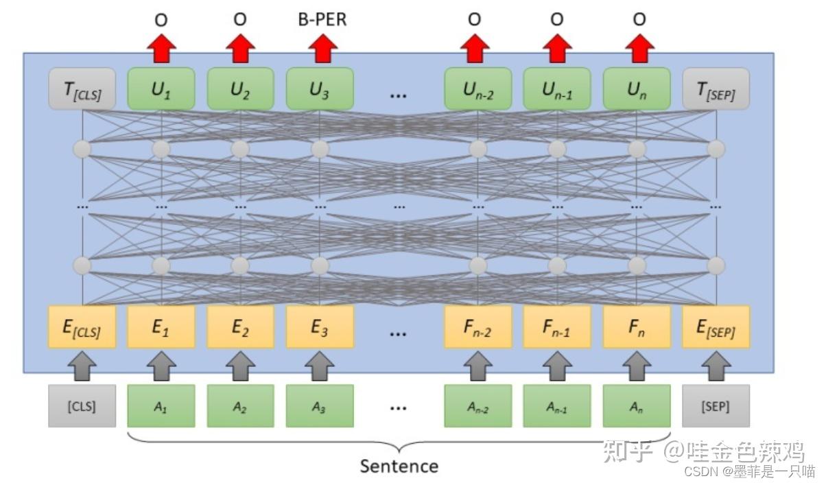 基于BERT实现简单的NER任务 - 知乎