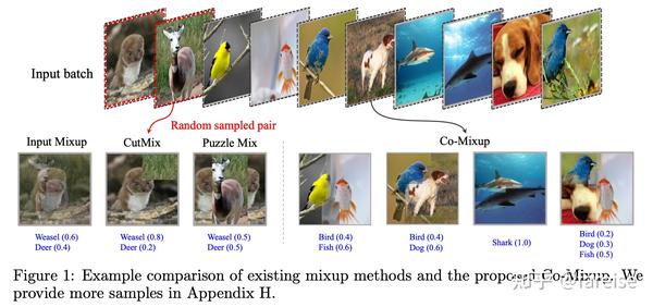 数据增强黑科技Mixup：9篇顶会论文带你了解Mixup发展脉络 - 知乎