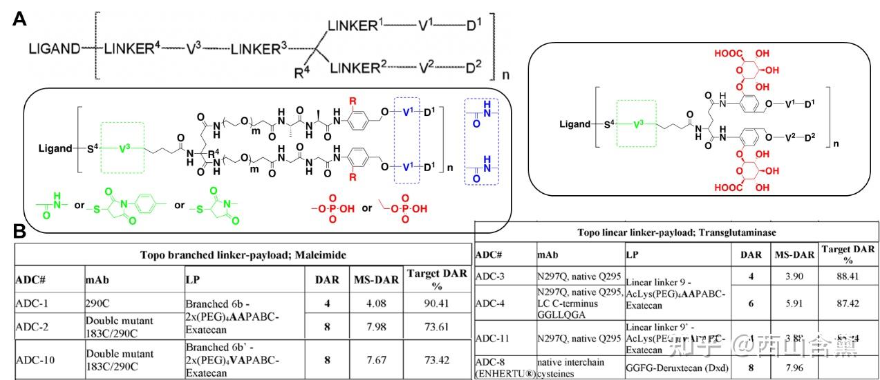 国内外知名企业ADC技术平台(第十三期)-Pyxis Oncology - 知乎