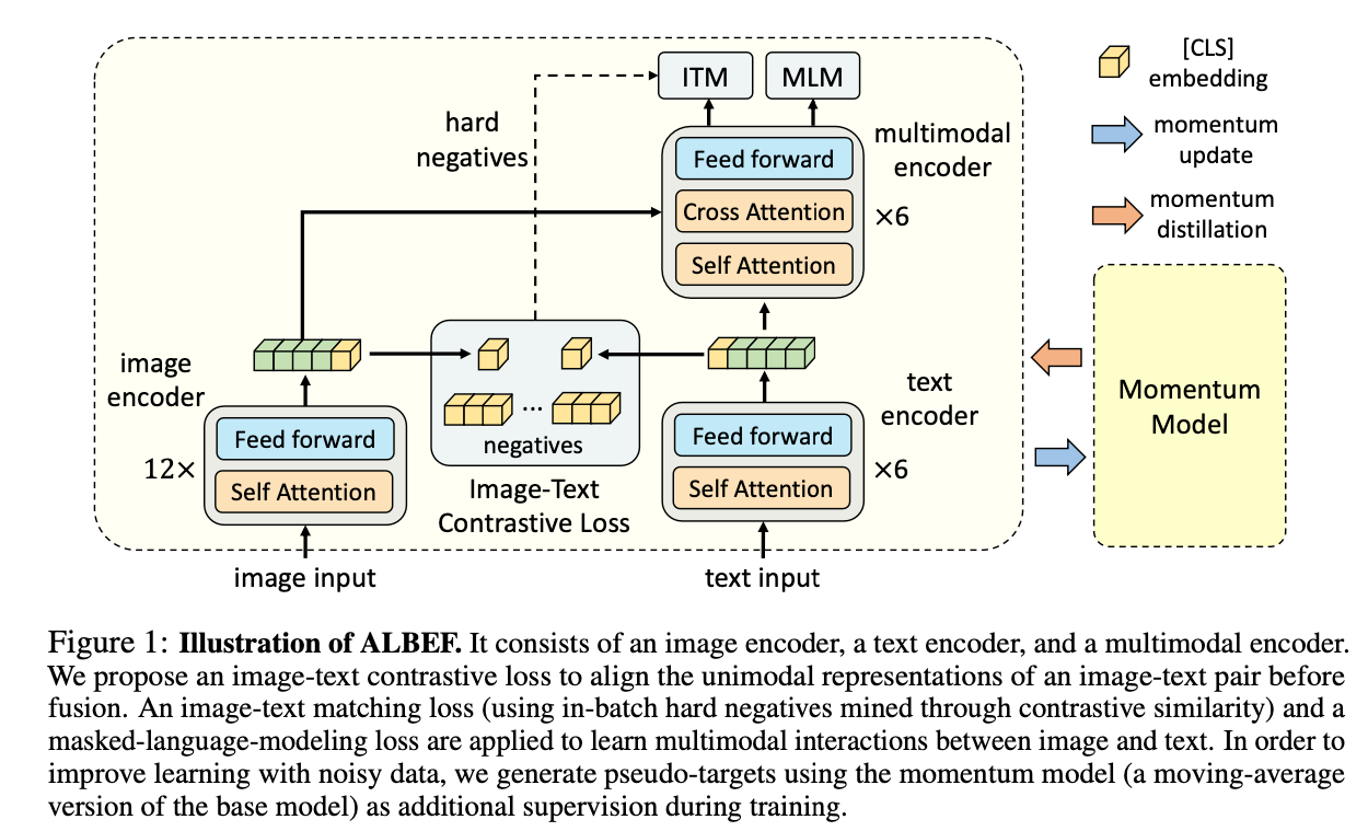 [90]ALBEF: 先对齐再融合多模态 - 知乎