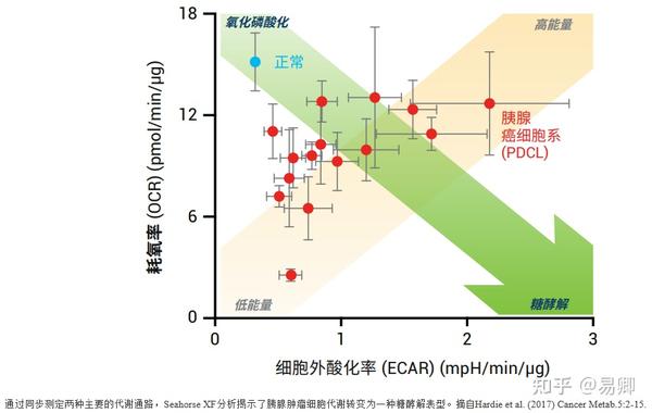 一文读懂！Seahorse数据统计分析——OCR、ECAR - 知乎