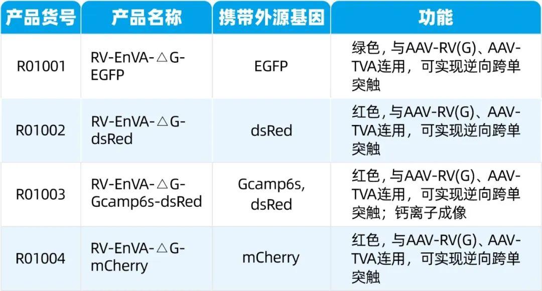 【知识窗】RV逆行跨一级示踪技术及其应用 - 知乎