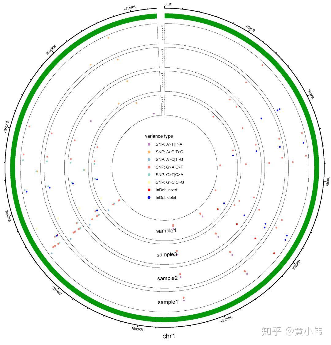 R包circlize绘制特定SNP、InDel位点标识的基因组圈图 - 知乎