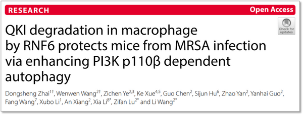 Cell Biosci︱空军军医大学汪莉/卢兹凡团队发现RNA结合蛋白QKI有望成为治疗MRSA感染的新靶点 - 知乎