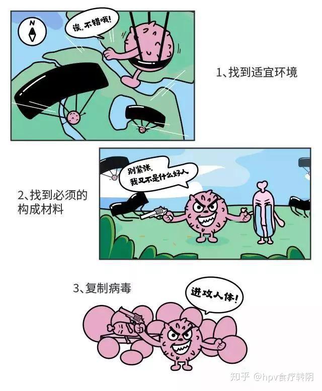 Hpv是什么？ 感染hpv的途径有哪些？如何预防感染hpv？ 知乎