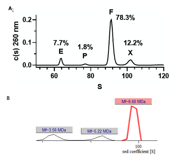 AAV基因治疗火热，CMC是重点：浅谈AAV生产制备中空壳率检测方法 - 知乎