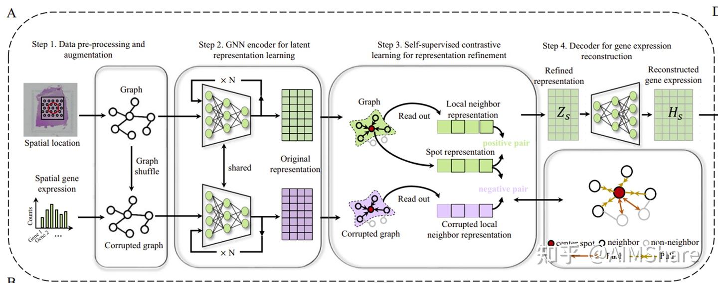 通俗解析生物信息学中的多模态研究：单细胞多组学 - 知乎