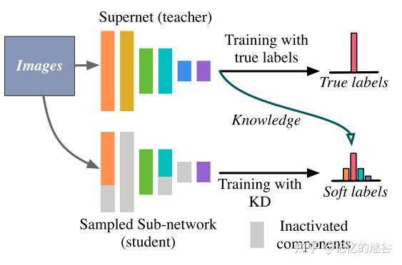 [ICML2021]AlphaNet论文解读：提出全新的α-散度损失函数（NAS方向） - 知乎