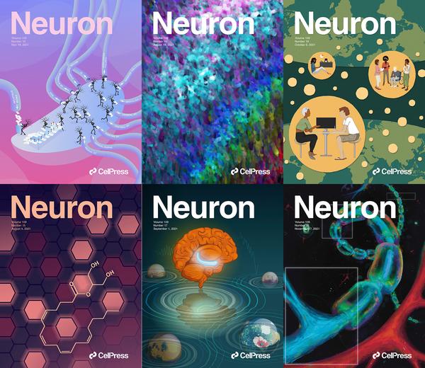 72张《Neuron》精美封面鉴赏丨2019~2021年半篇 - 知乎
