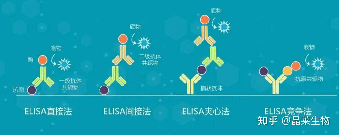 【5分钟讲透实验】影响ELISA结果的因素综述 - 知乎