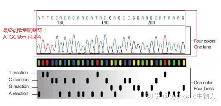 Omics精进01|临床WGS/WES/Gene Panel/Single gene异同 - 知乎
