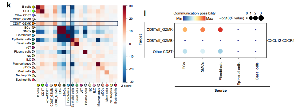 文献解读 | 10x 单细胞HD空转联合应用—揭示GZMK+CD8+ T细胞在鼻息肉中的促炎作用 - 知乎