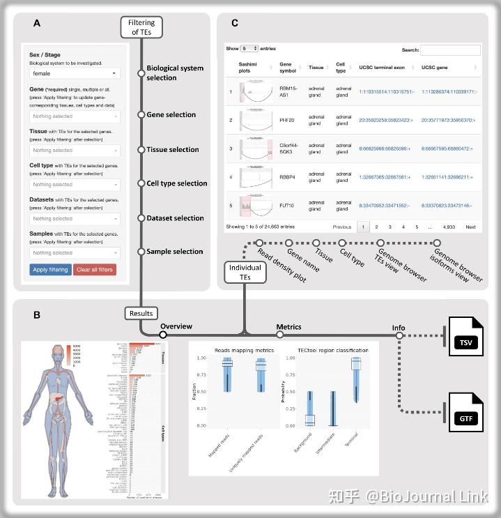 数据库介绍 | scTEA-db：一个从人类单细胞转录组中识别出的新终端外显子异构体的综合性数据库 - 知乎