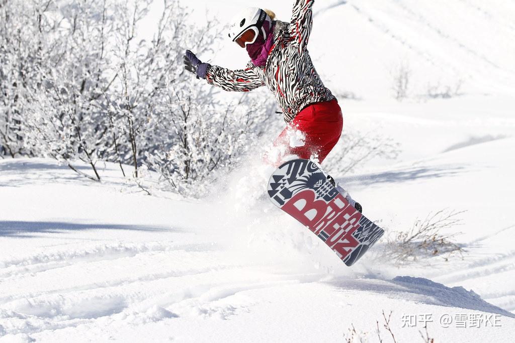 12款适合新手及初级进阶的单板推荐 - 知乎