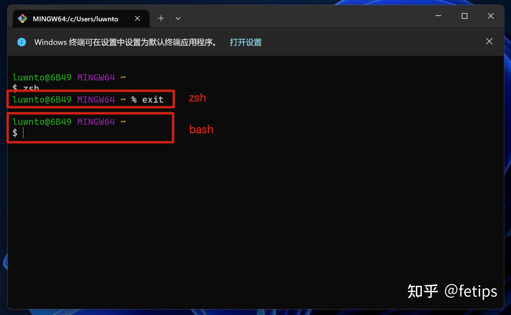 Windows安装Zsh终端 - 知乎