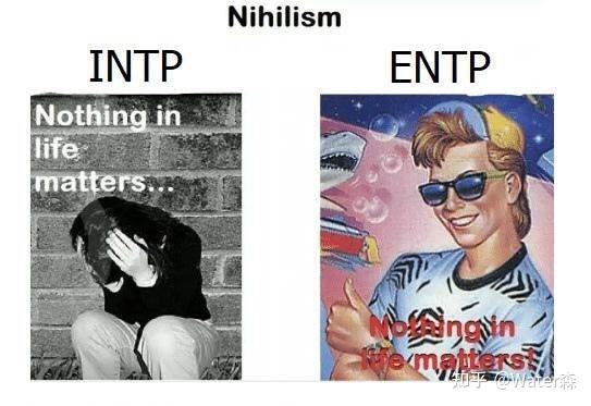 INTP和ENTP的核心区别：谁才是真美猴王？ - 知乎