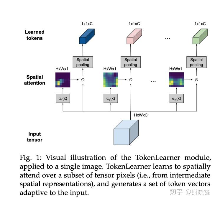TokenLearner: 一张图片用8个tokens就够了 - 知乎