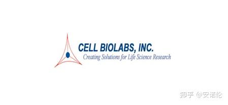 安诺伦代理品牌Cell Biolabs肿瘤敏感性试验 - 知乎