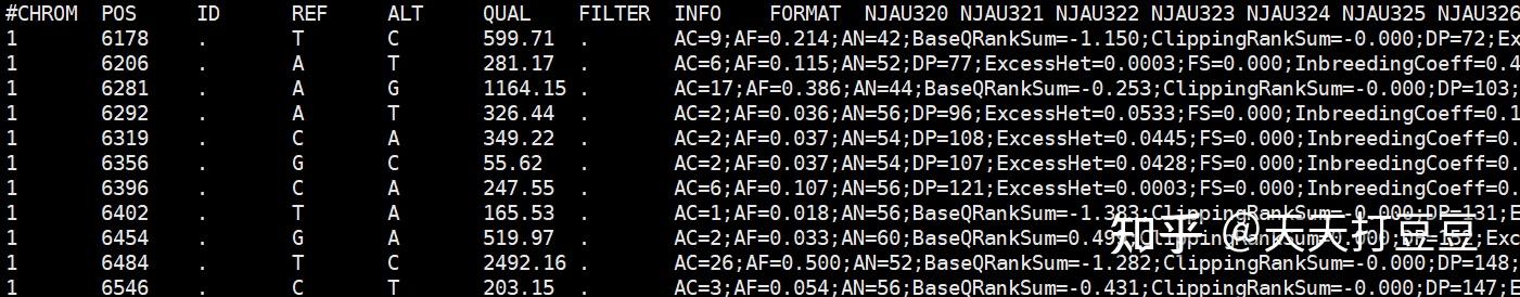 plink常见用法 - 知乎