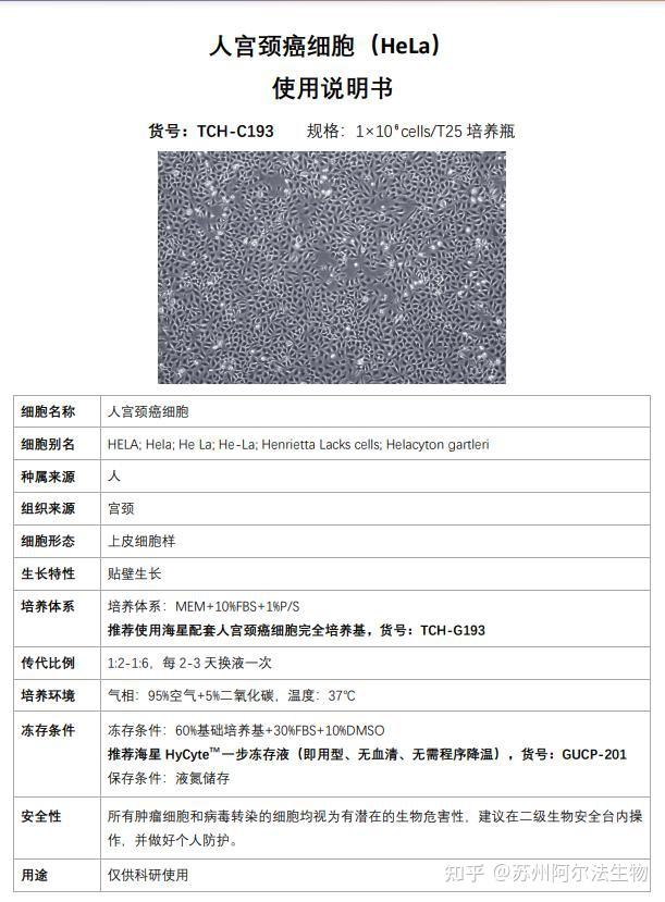 HELA细胞是什么细胞 - 知乎