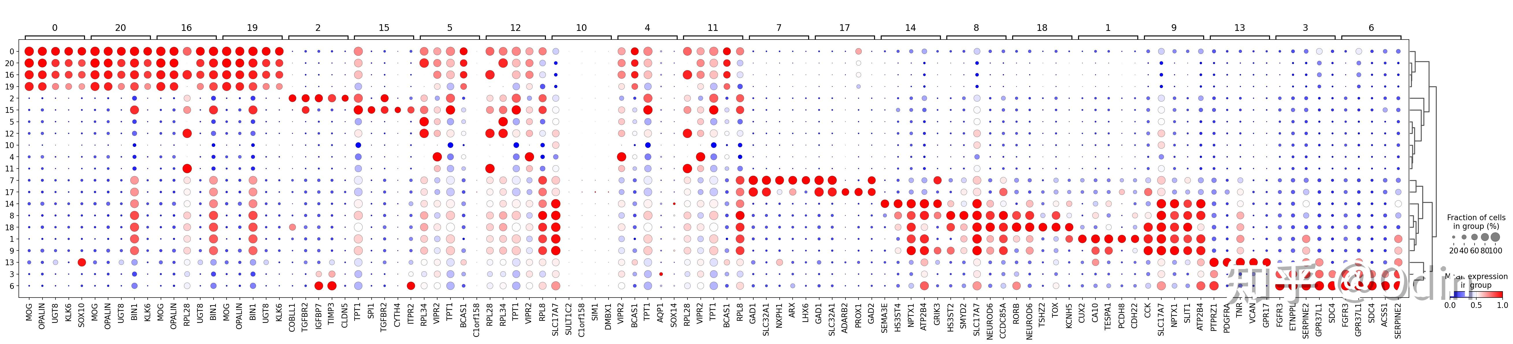 教程：用scanpy和squidpy分析单细胞空间转录组数据 - 知乎