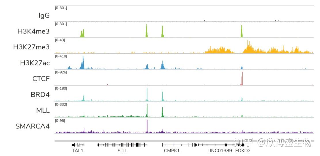 从ChIP-seq到CUT&RUN和CUT&Taq，哪种染色质分析法更适用您的实验？ - 知乎