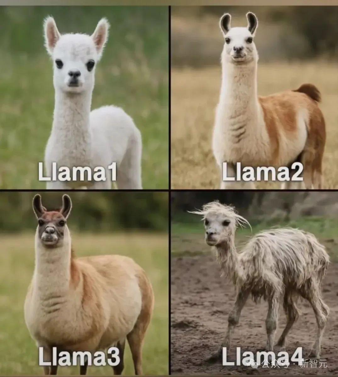 Llama 4爆料大反转，没在测试集上训练！华人员工实名辟谣，LeCun出面救火 - 知乎