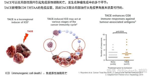 TACE+靶免治疗HCC全球III期成功，汇总TACE研究 - 知乎