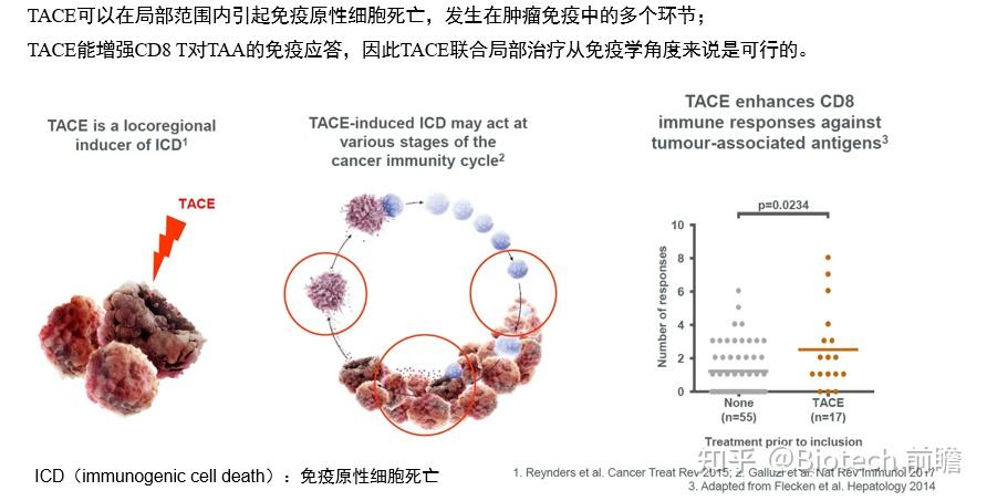 TACE+靶免治疗HCC全球III期成功，汇总TACE研究 - 知乎