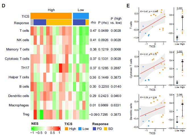 5张图搞定8分+纯生信！你绝对没见过的肿瘤免疫新思路——利用“免疫环境特征基因集”构建复发风险评分，创新性极高，速来围观！ - 知乎