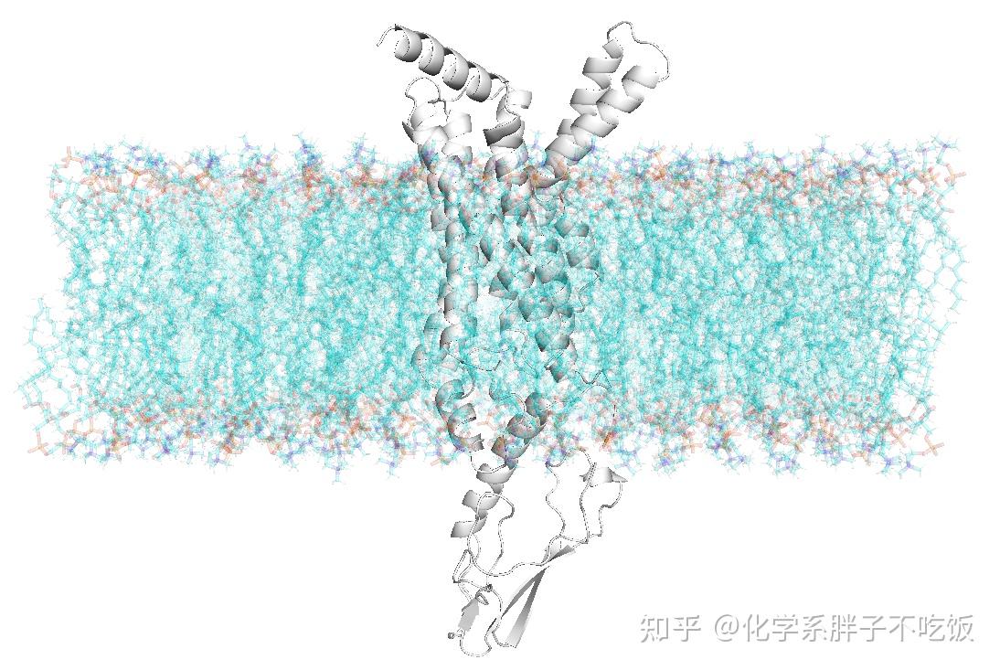 【GROMACS进阶】膜蛋白体系MD模拟教程 - 知乎