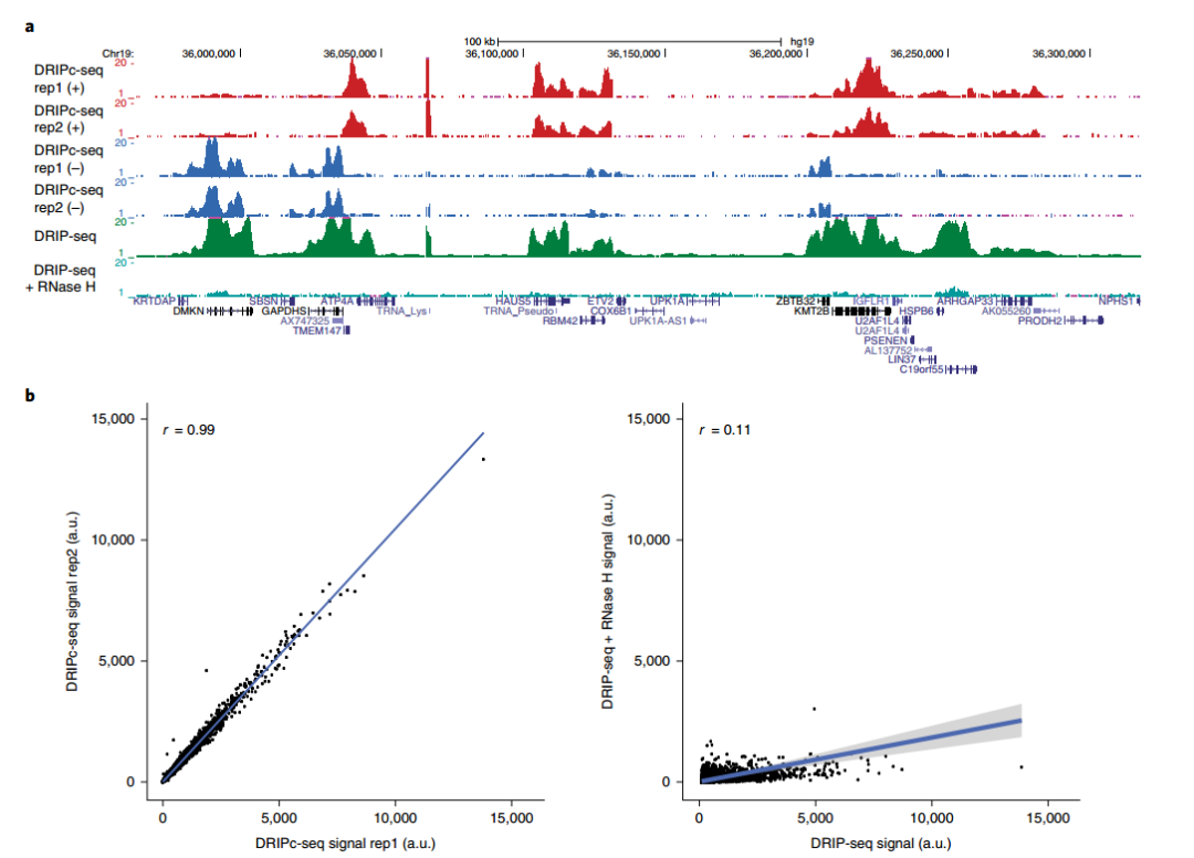DRIPc-seq - 知乎