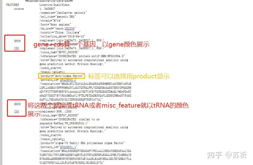 easyfig：线状基因组比对图 - 知乎