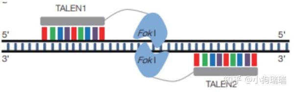 生物技术原理-2 - 知乎