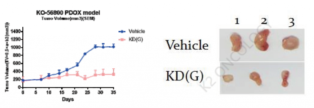 PDOX模型药物评价 - 知乎