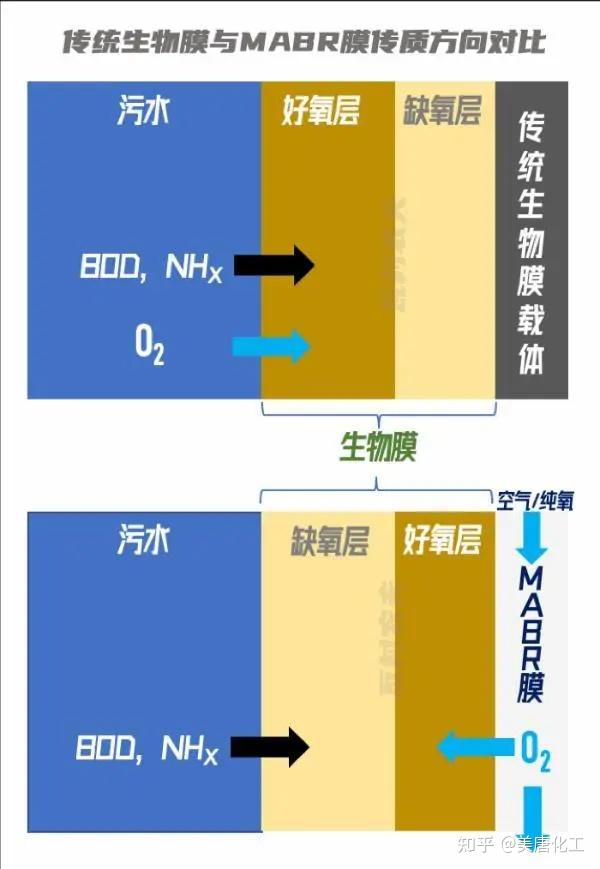 MABR的前世今身 - 知乎