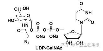 UDP-Xylose，UDP-Xyl，尿苷二磷酸木糖，Uridine diphosphate xylose，UDP-Xyl.2Na的各种别称 - 知乎