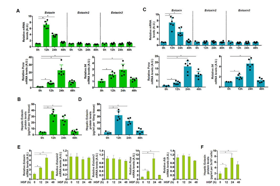 Cell Death Dis︱邹晓平/陆云杰团队合作发现肝再生新机制 - 知乎