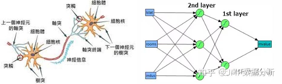JMP 的神经网络设定小技巧 - 知乎