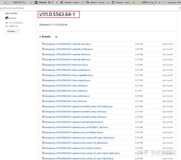 Pi节点0.45云服务器搭建NaiveProxy教程 - 知乎
