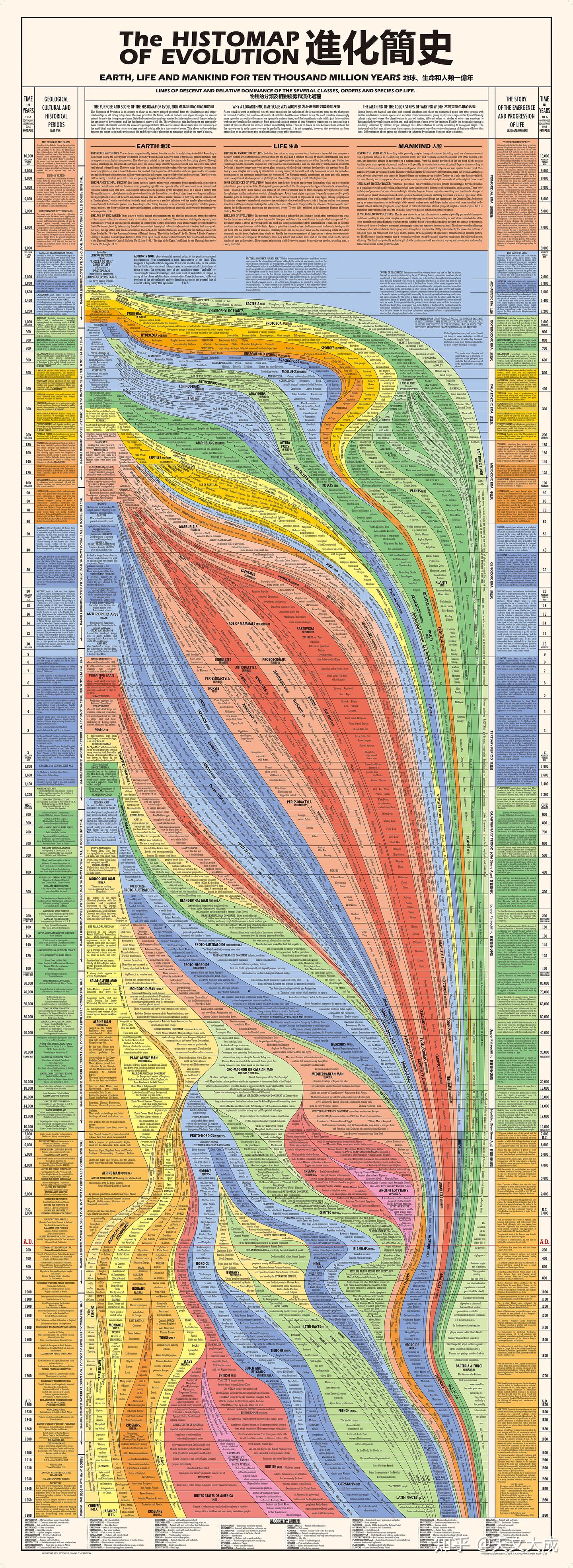 THE HISTOMAP - 知乎