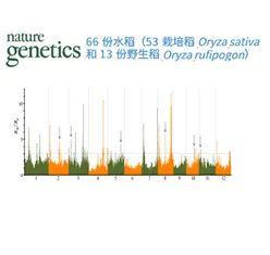 泛基因组(Pan-genome)研究思路与应用—作物篇 - 知乎
