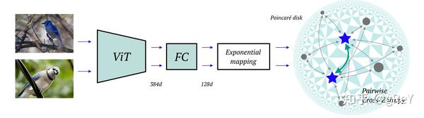 Hyperbolic Vision Transformers: Combining Improvements in Metric ...