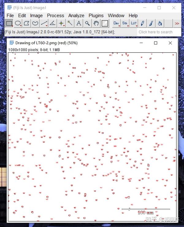 ImageJ使用心得之Particle Analysis （一） - 知乎