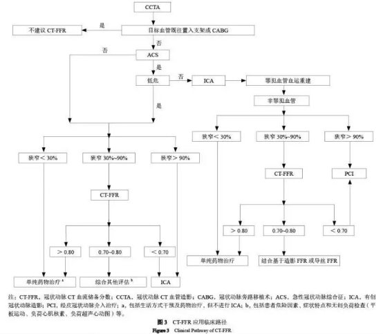 FFR及其衍生技术的国内外共识建议 - 知乎