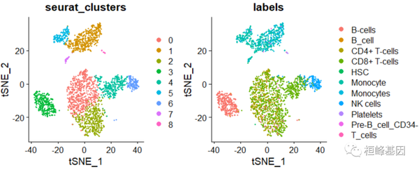SCS【6】单细胞转录组之细胞类型自动注释 (SingleR) - 知乎