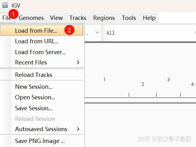 IGV使用教程（图文） - 知乎