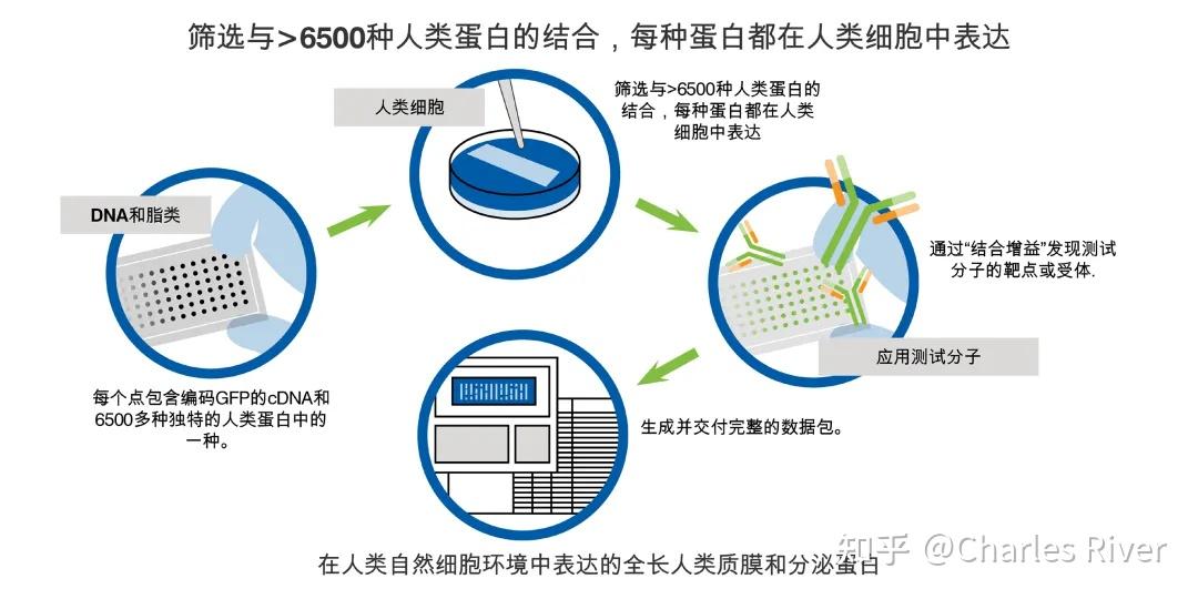 Retrogenix人类蛋白质数据库得到了再次扩建 - 知乎