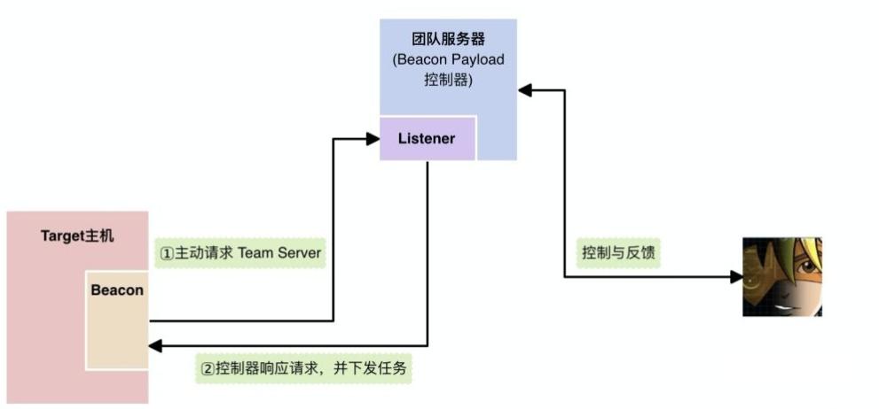 【Cobalt-Strike-Start】深入了解 Beacon 种类及其原理 - 知乎