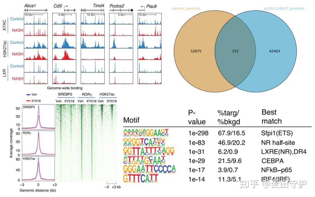 系统的跟着18篇CNS文章学单细胞多组学分析（含空间转录组、chipseq、RNAseq、Atacseq和外显子） - 知乎